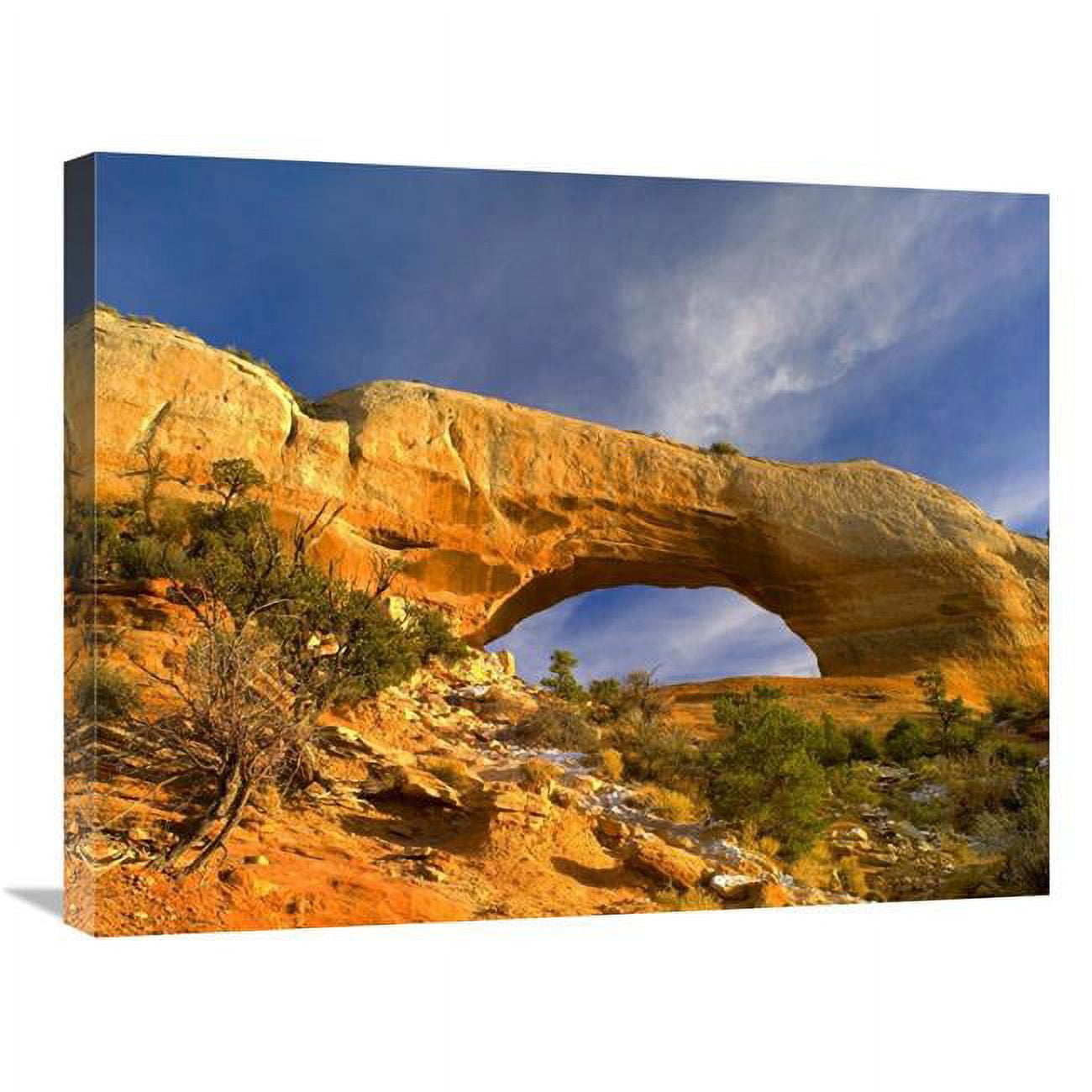 Global Gallery 22 x 28 in. Wilson Arch with A Span of 91 ft. & Height ...