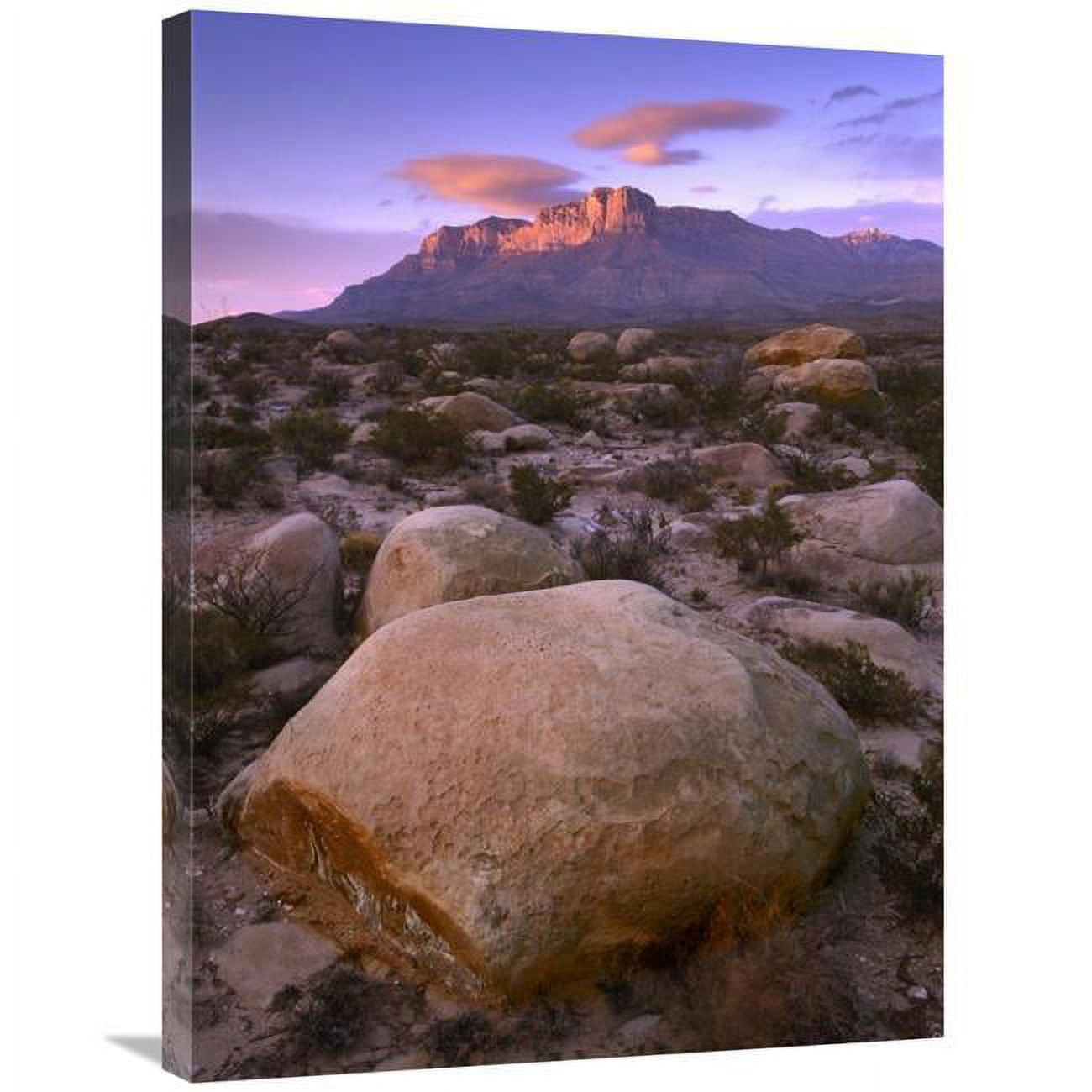 Global Gallery 24 x 32 in. Boulder Field & El Capitan - Guadalupe ...