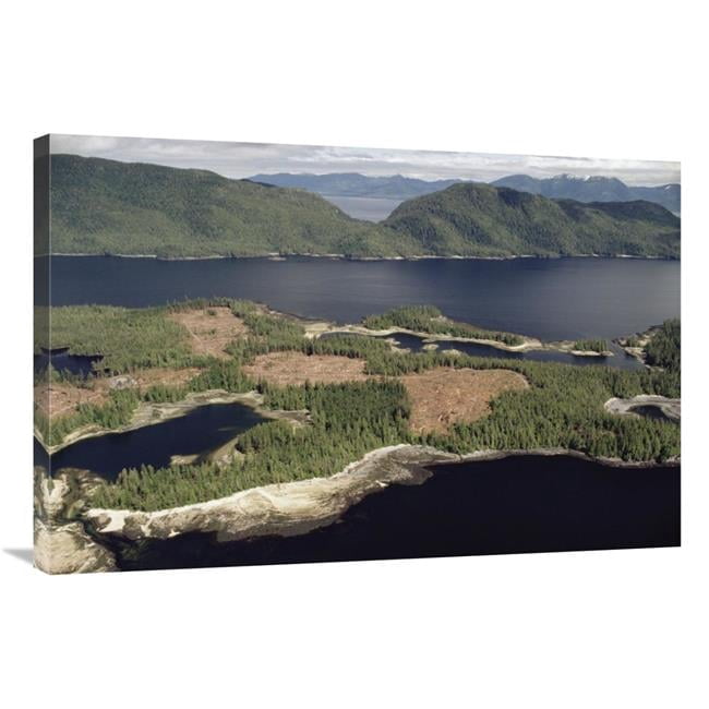 Global Gallery 24 x 36 in. Aerial View of Clearcut Temperate Rainforest ...