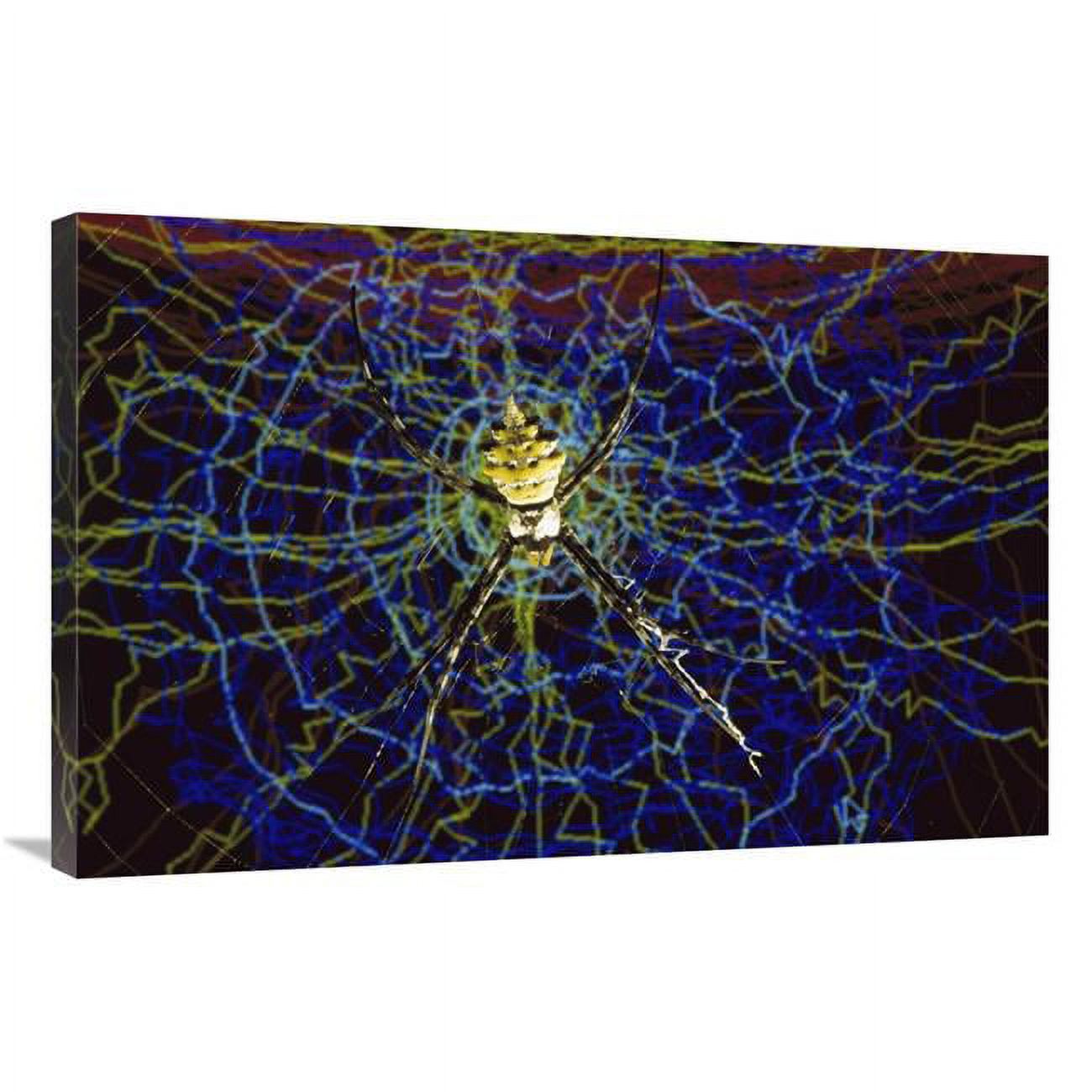 Global Gallery 24 x 36 in. Computer Simulation of A Spider Spinning Its ...