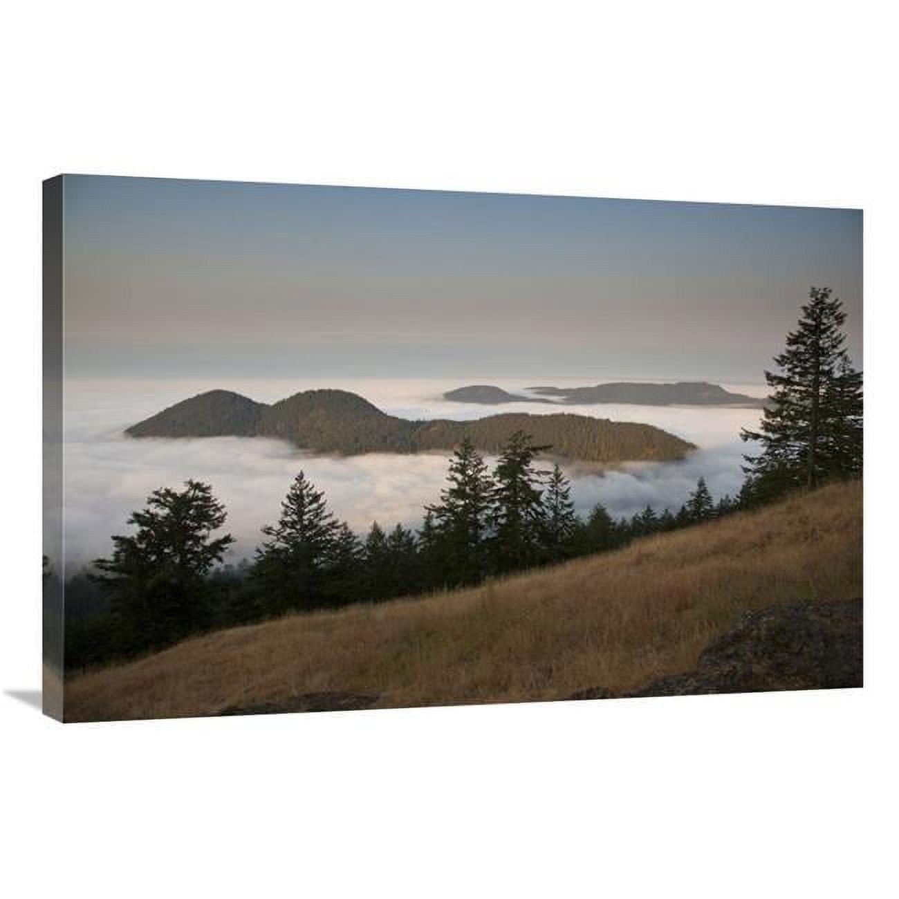Global Gallery 24 x 36 in. Entrance Mountain & Mount Woolard Emerge ...