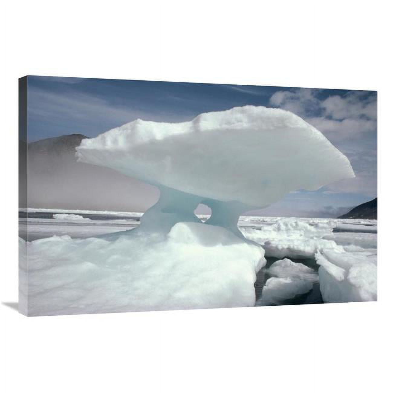Global Gallery 24 x 36 in. Iceberg & Ice Floes - Baffin Island - Canada ...