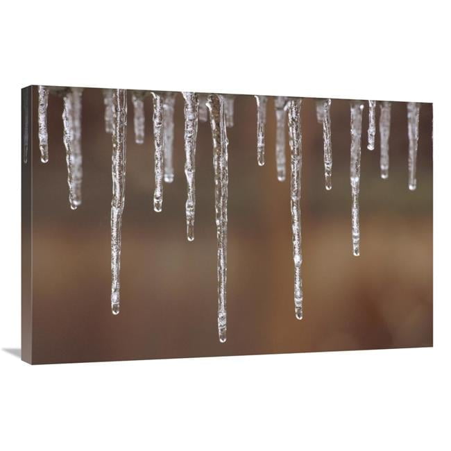Global Gallery 24 x 36 in. Single Strand of Icicles Melting - North ...