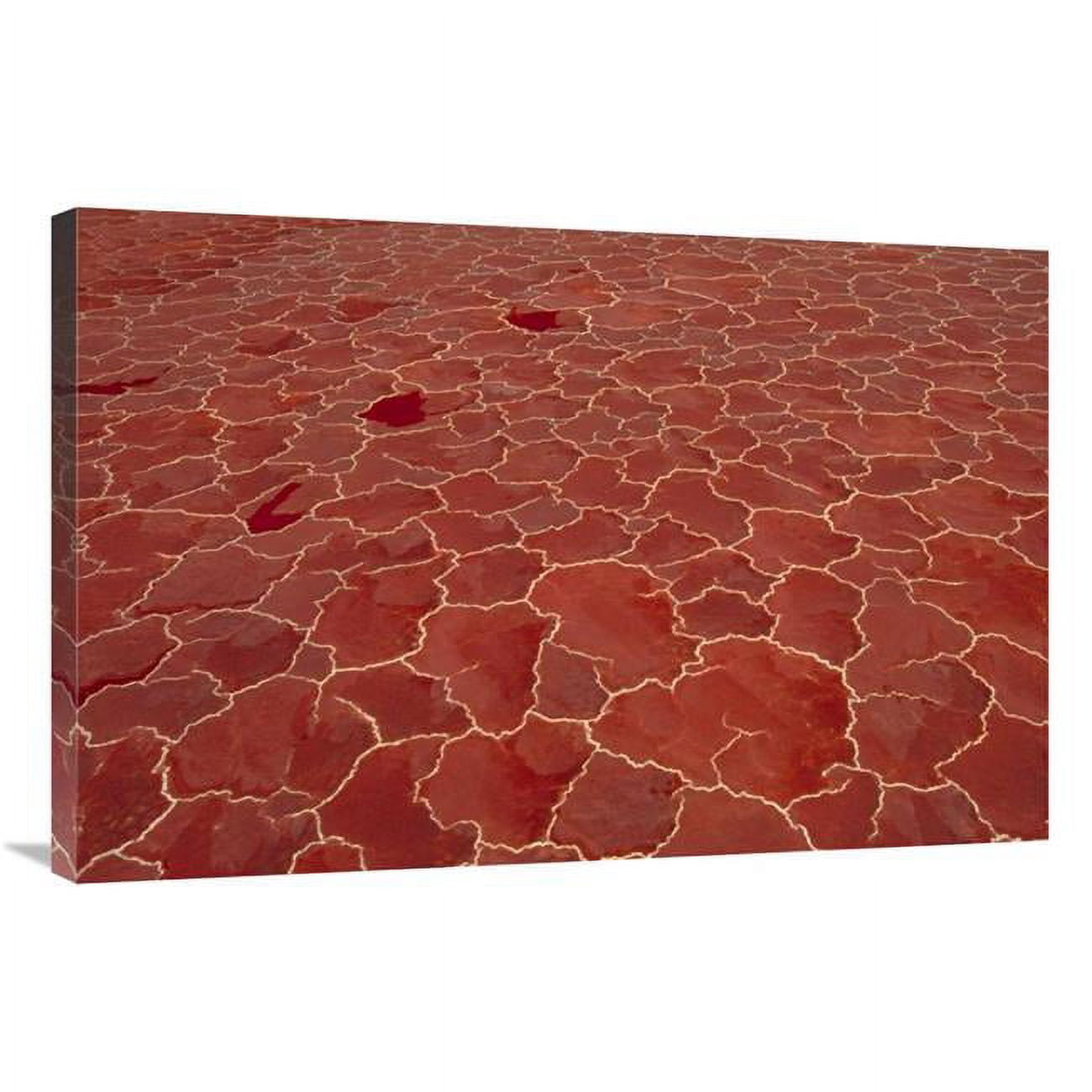 Global Gallery 24 x 36 in. Soda & Algae Formation on Surface of Lake ...