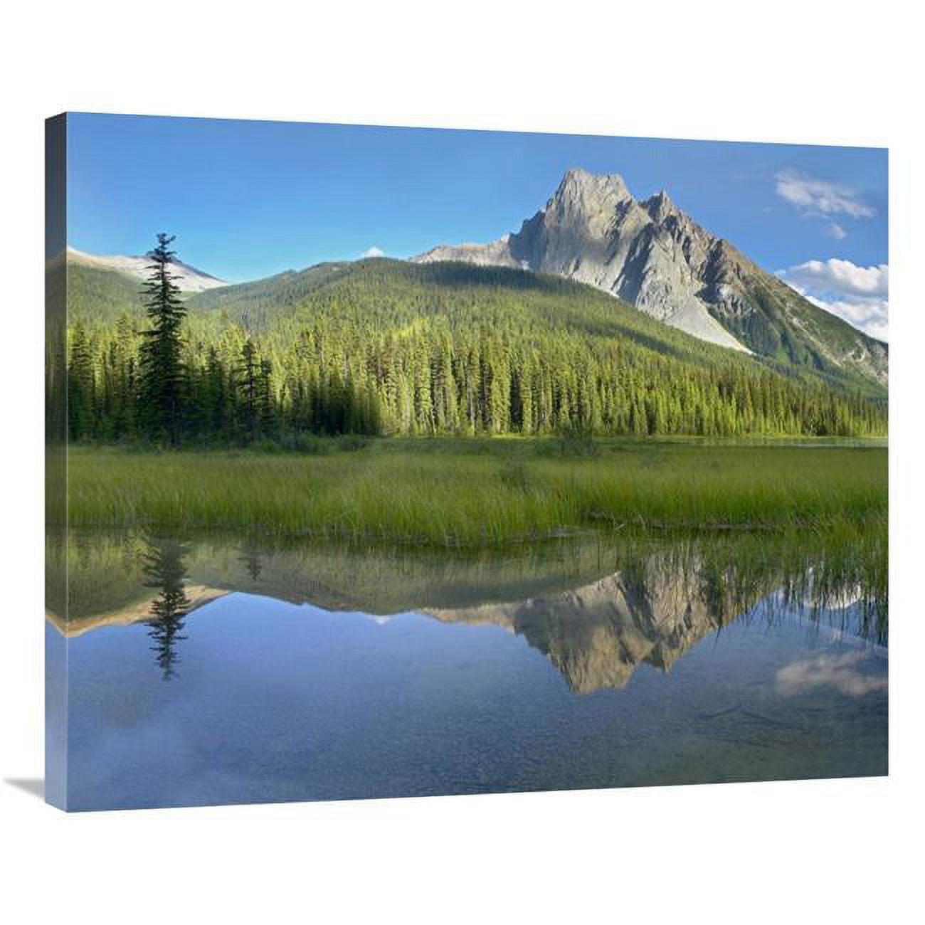 Global Gallery Mt Burgess Reflected in Emerald Lake - Yoho National ...
