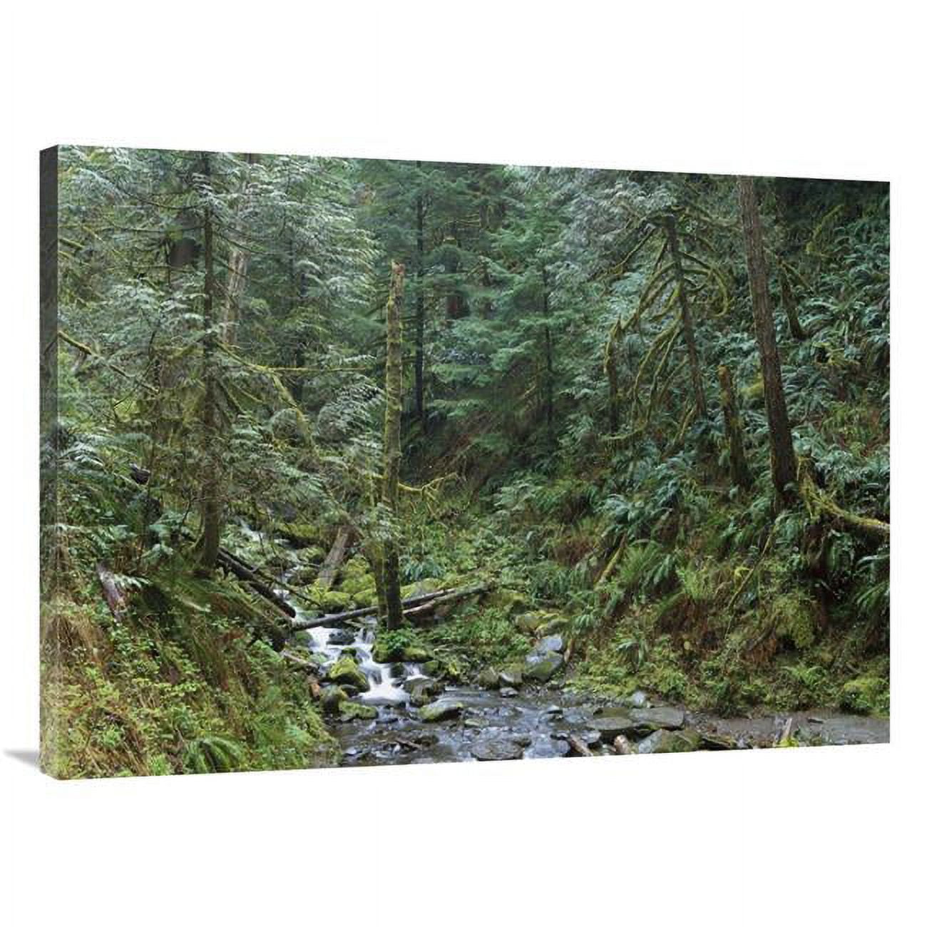Global Gallery 30 x 40 in. Cascade Along Eagle Creek Flowing Through ...