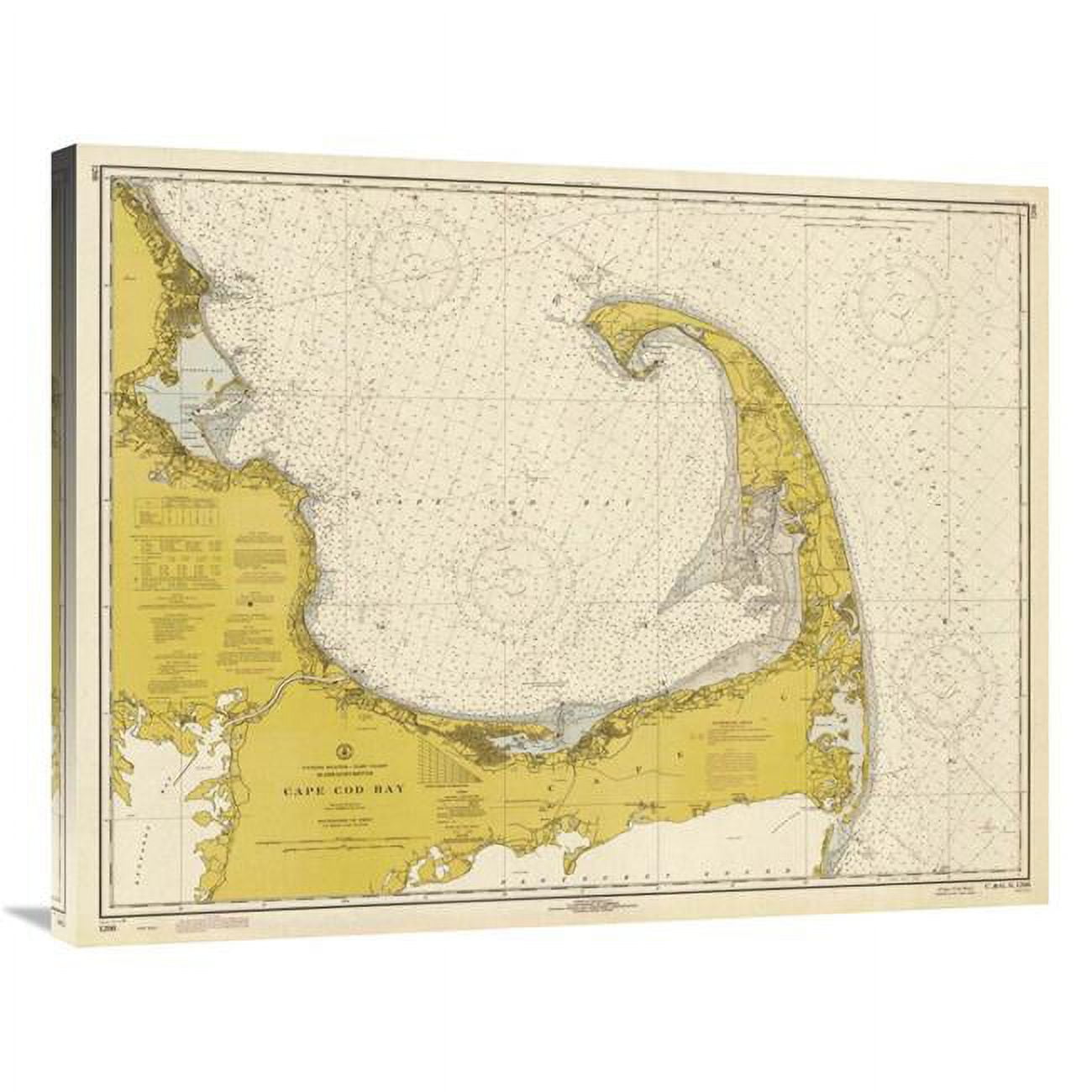 Global Gallery 36 in. Nautical Chart - Cape Cod Bay CA. 1970 - Sepia ...