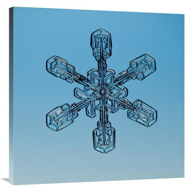 Global Gallery 36 x 36 in. Snowflake Seen Through Microscope Art Print ...