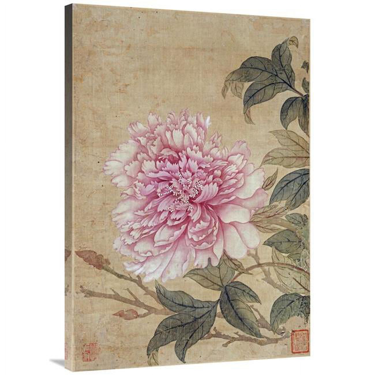 Global Gallery 40 in. Peony Art Print - Yun Shouping - Walmart.com