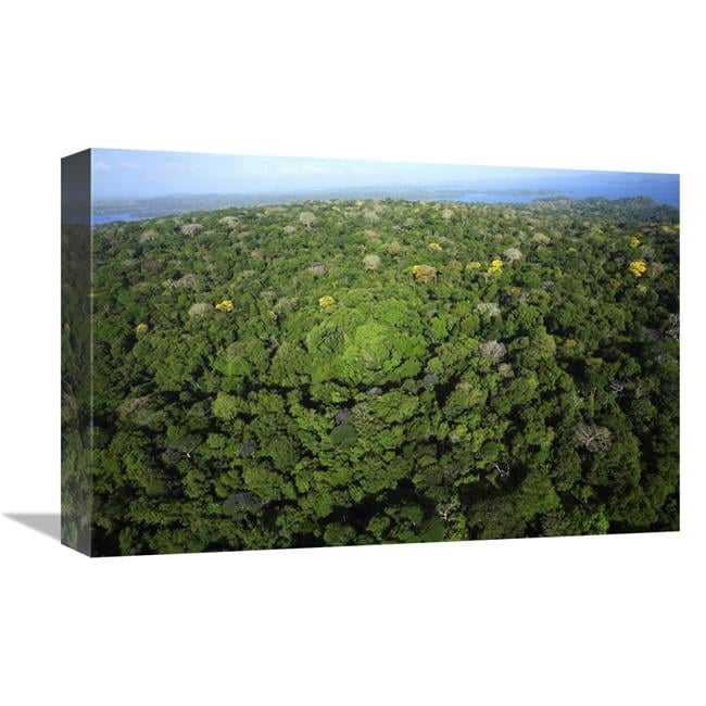 Global Gallery Aerial VIew of the Canal Zone - Barro Colorado Island ...