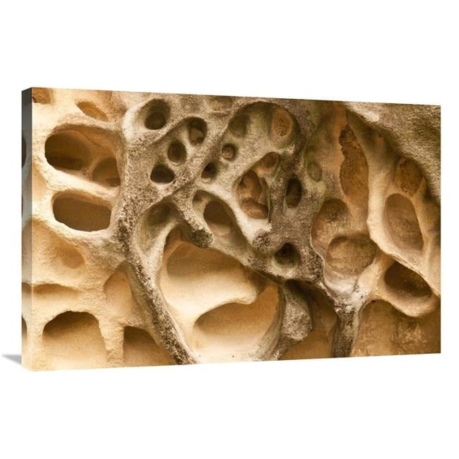 Global Gallery Cavernous Weathering in Sandstone Rock - Sydney ...
