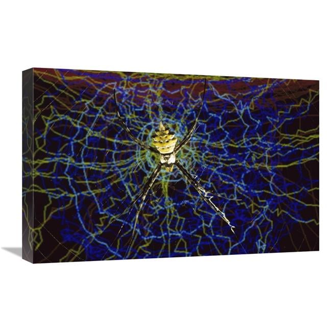 Global Gallery Computer Simulation of A Spider Spinning Its Web ...