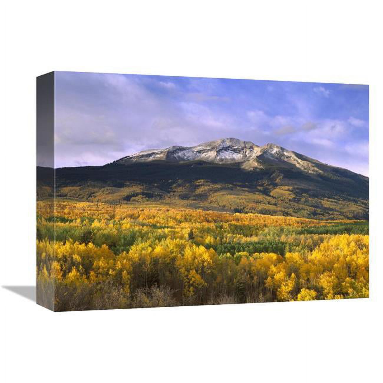 Global Gallery East Beckwith Mountain & Trees in Fall Color - Gunnison ...