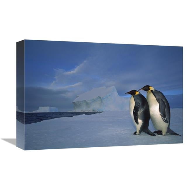 Global Gallery Emperor Penguin Pair on Sea Ice in Midnight Twilight ...
