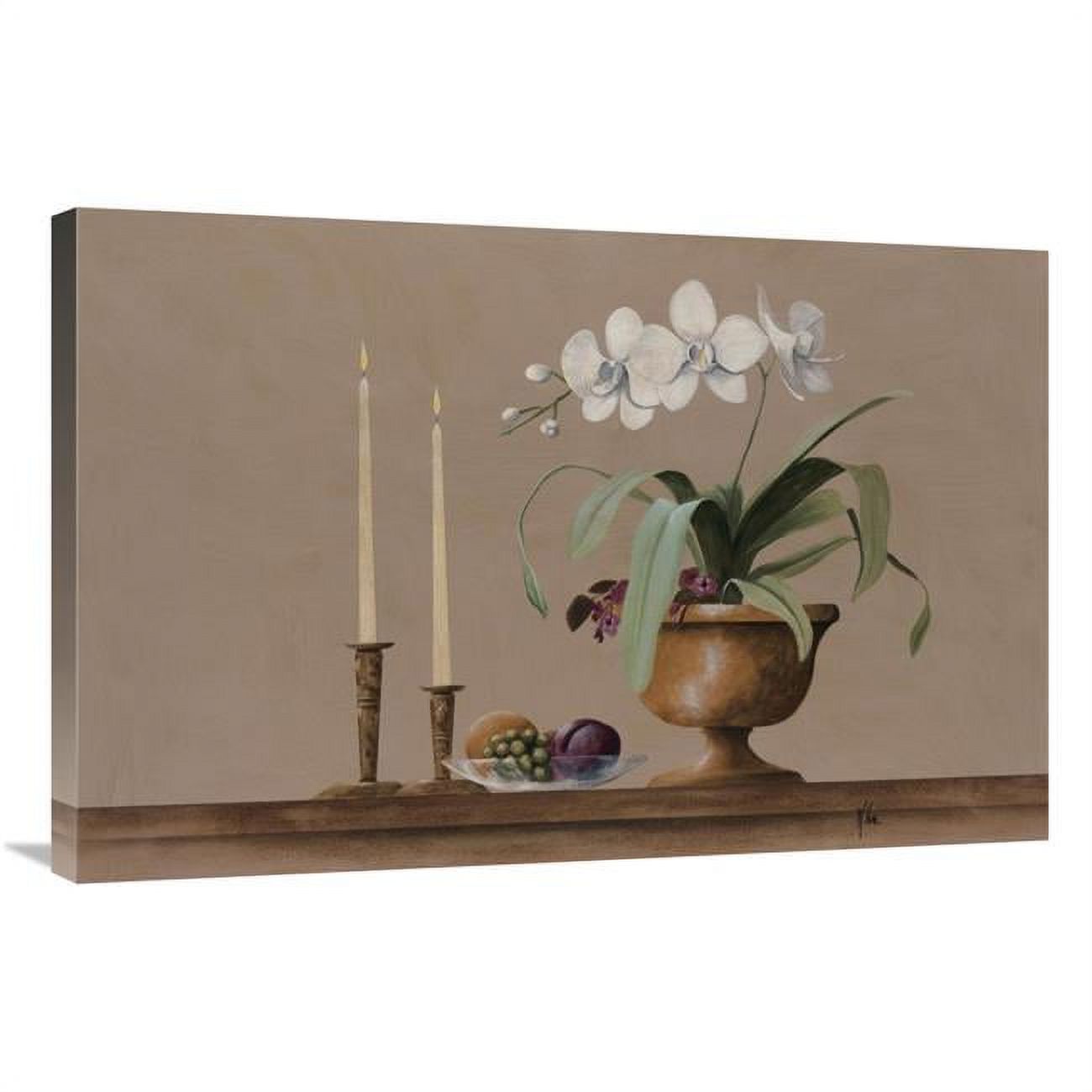 Global Gallery GCS-124356-2436-142 24 x 36 in. White Orchid Still Life ...