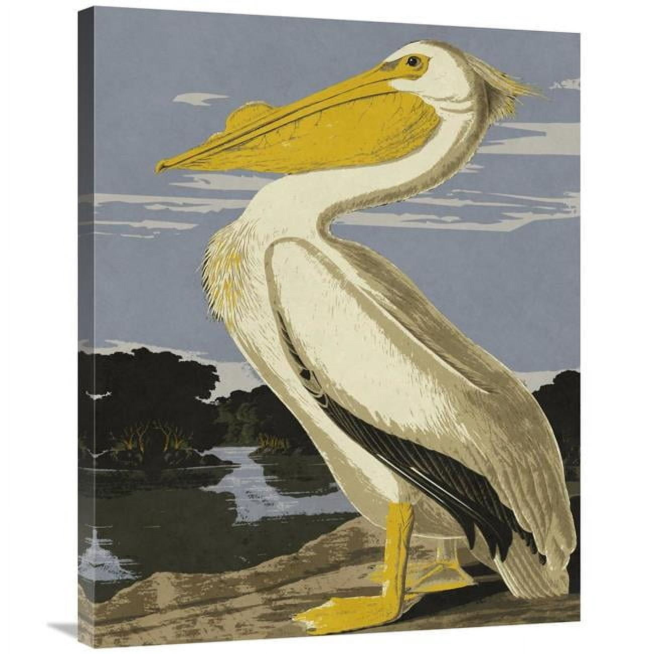 Global Gallery GCS-394763-2835-142 28 x 35 in. Audubon Decor - Pelican ...
