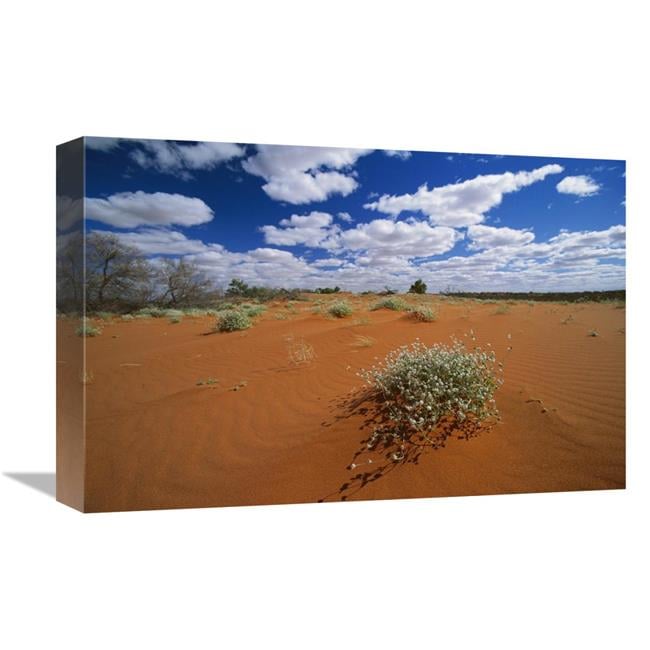 Global Gallery GCS-452563-1218-142 12 x 18 in. Minnie Daisy in the ...