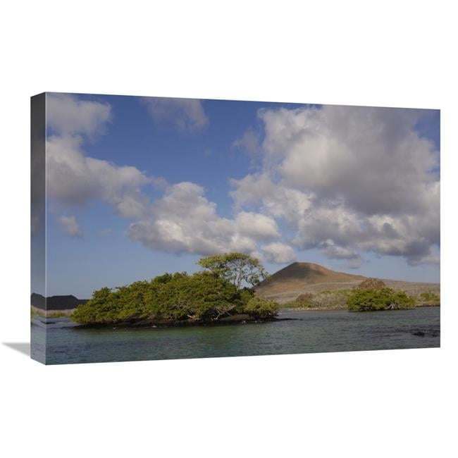 Global Gallery GCS-453050-1624-142 16 x 24 in. Palo Santo Trees ...