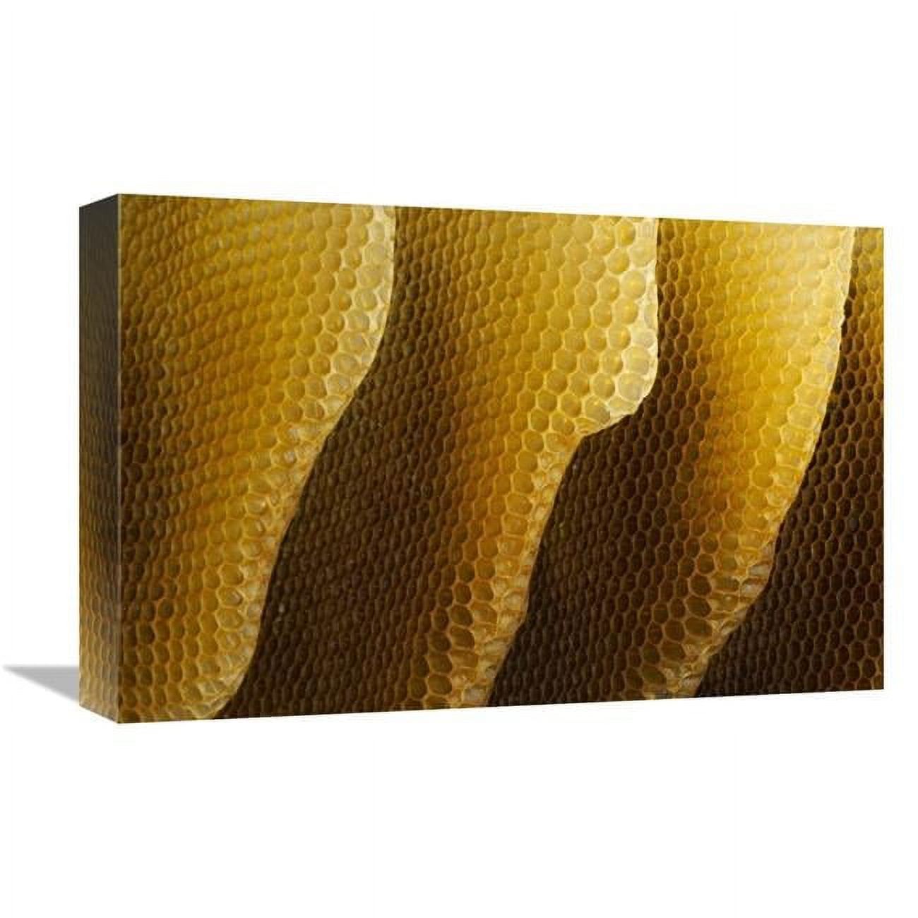 Global Gallery GCS-453387-1218-142 12 x 18 in. Honey Bee Honeycombs ...