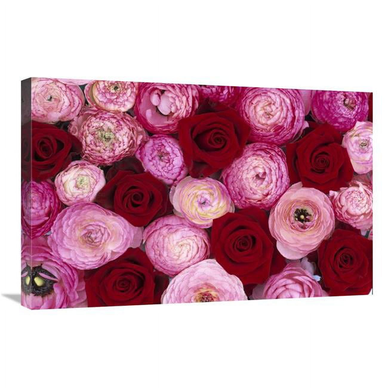 Global Gallery GCS-453613-2030-142 20 x 30 in. Rose Flowers & Buttercup Flowers Art Print - Jan ...