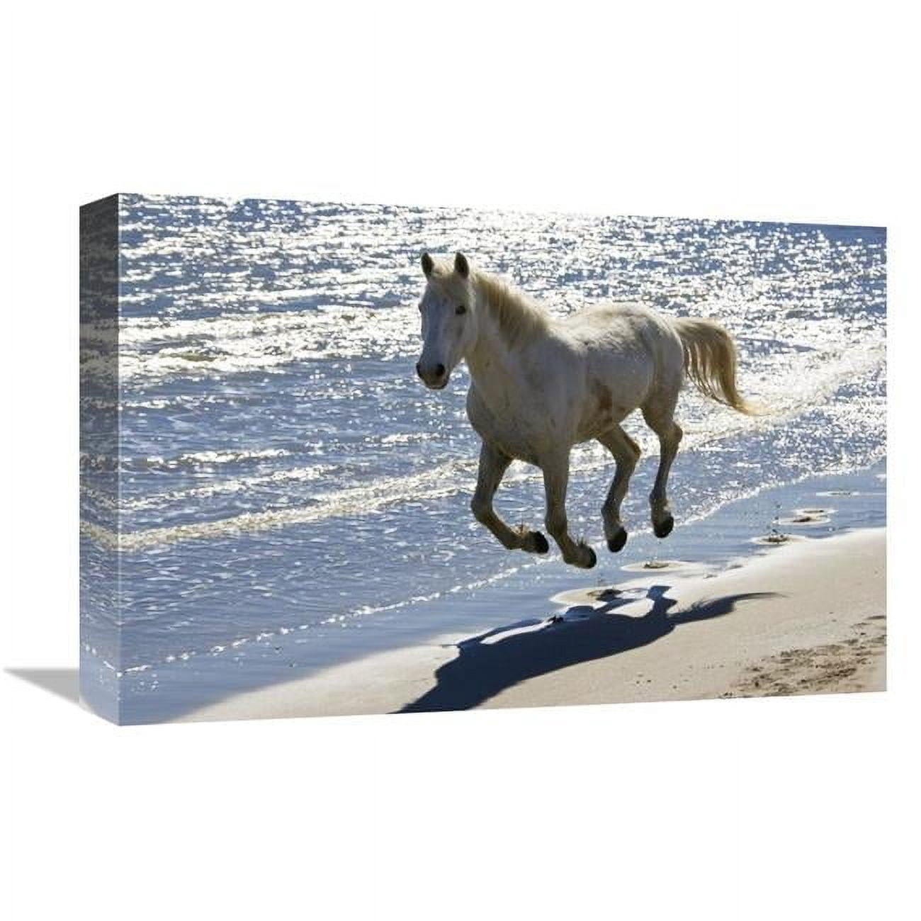 Global Gallery GCS-453615-1218-142 12 x 18 in. Camargue Horse Running ...