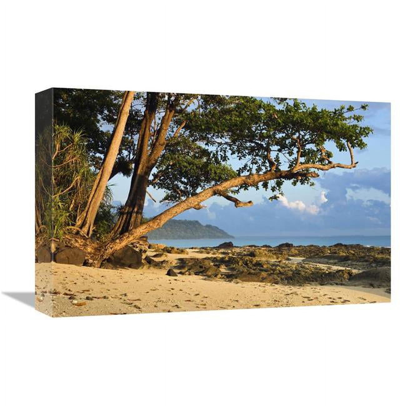 Global Gallery GCS-453635-1218-142 12 x 18 in. Coastal Rainforest ...