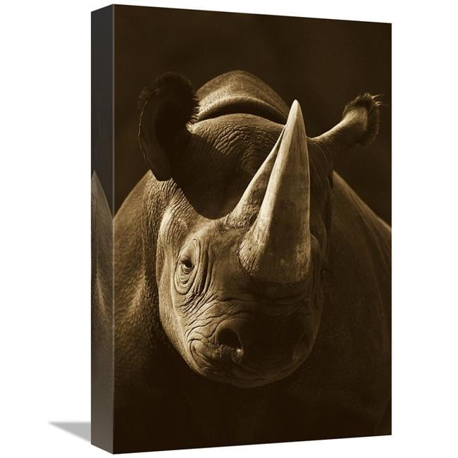 Global Gallery GCS-453662-1218-142 12 x 18 in. Black Rhinoceros ...