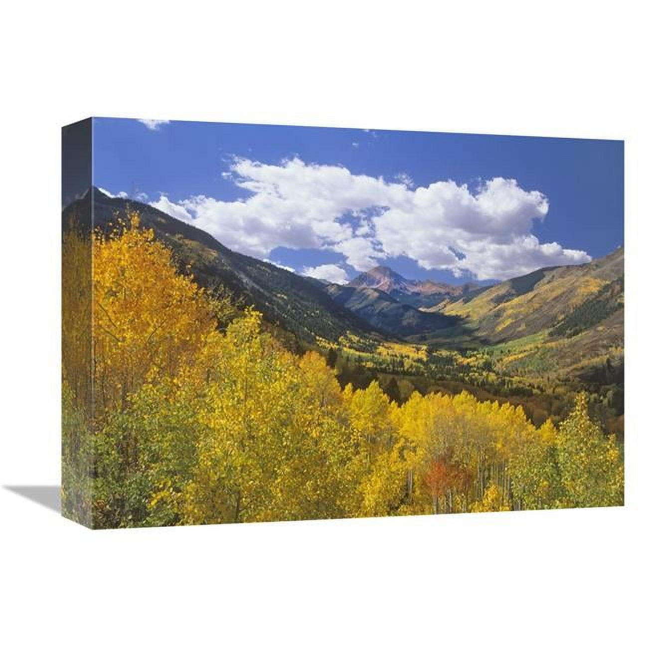 Global Gallery Haystack Mountain with Aspen Forest - Maroon Bells ...