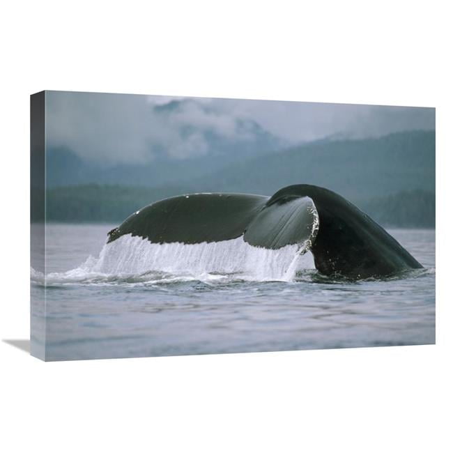 Global Gallery Humpback Whale Tail - Alaska Art Print - Flip Nicklin ...