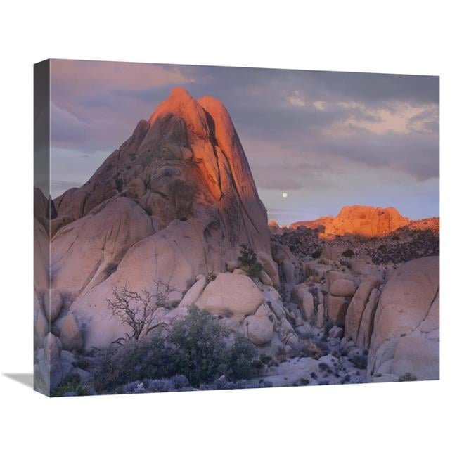 Global Gallery Moon Over Rocks - Joshua Tree National Park - California ...