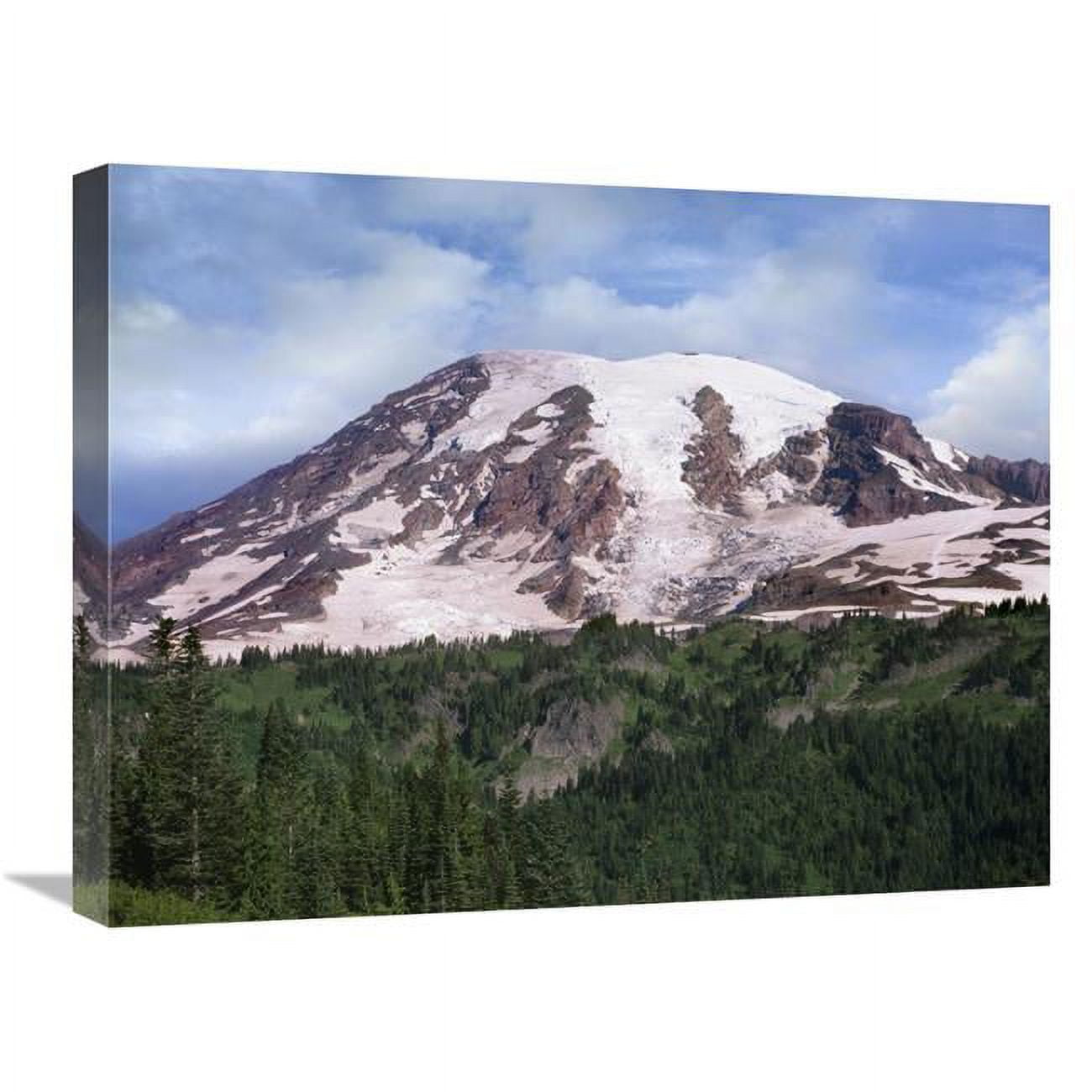 Global Gallery Mount Rainier with Coniferous Forest - Mount Rainier ...