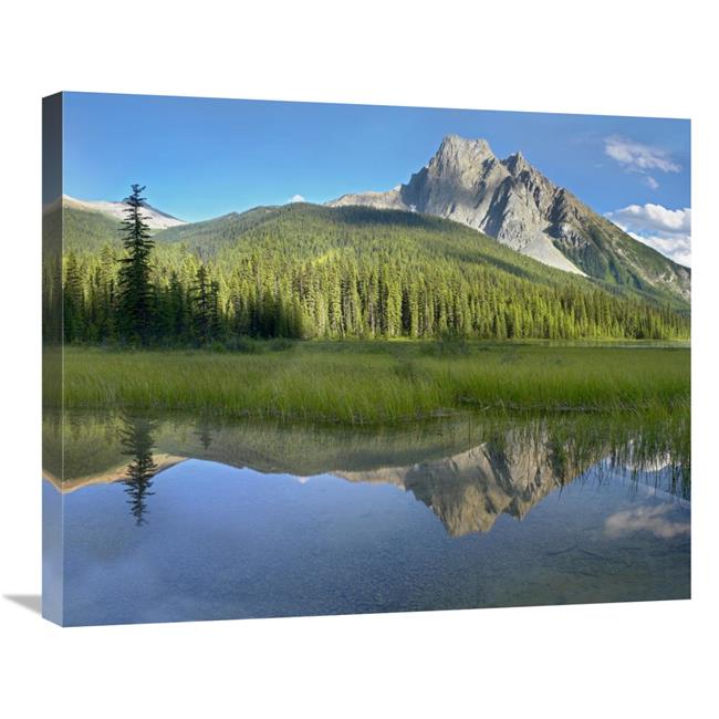 Global Gallery Mt Burgess Reflected in Emerald Lake - Yoho National ...