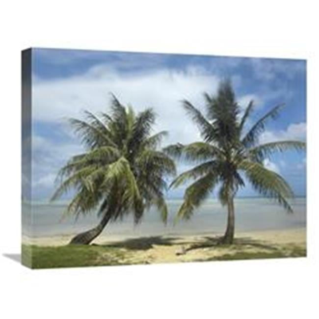 Global Gallery Palm Trees - Agana Beach - Guam Art Print - Tim ...