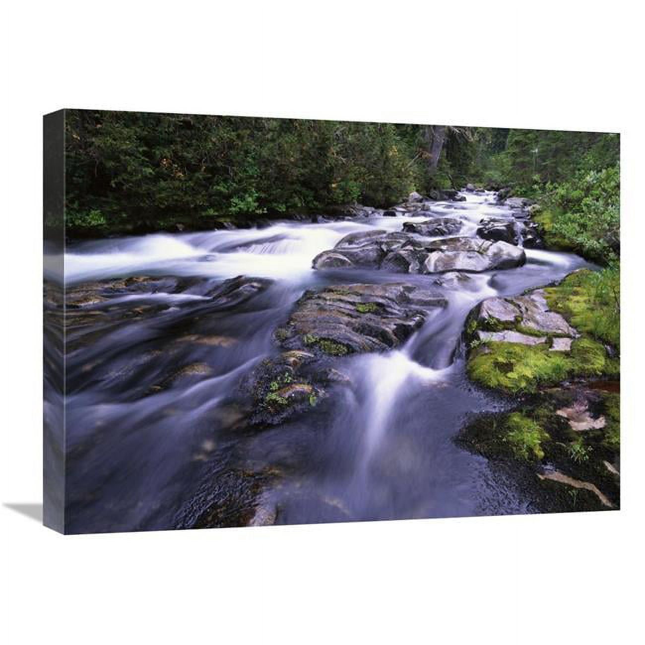 Global Gallery Paradise River - Mt Rainier National Park - Washington ...