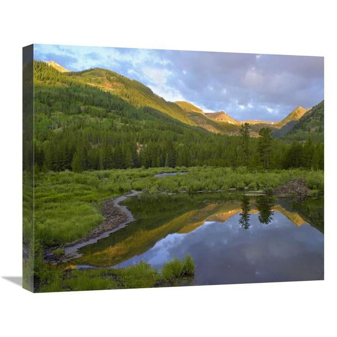 Global Gallery Pond & Boreal Forest - Ruby Range Near Crested Butte ...