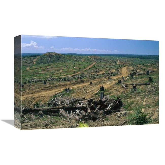 Global Gallery Rainforest Deforestation for Oil Palm Plantation - Sabah ...