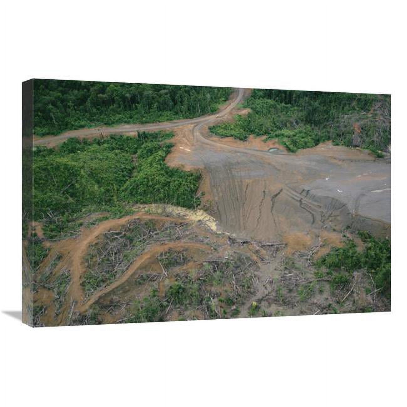Global Gallery Rainforest Logging Activities Near Eastern Boundary of ...