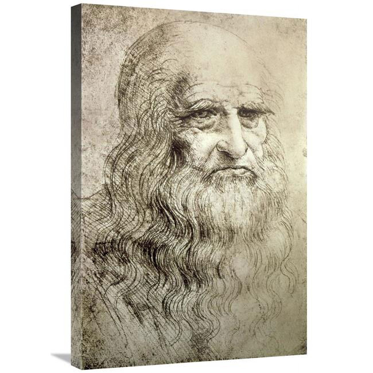 Global Gallery Self-Portrait C1515 Art Print - Leonardo Da Vinci ...