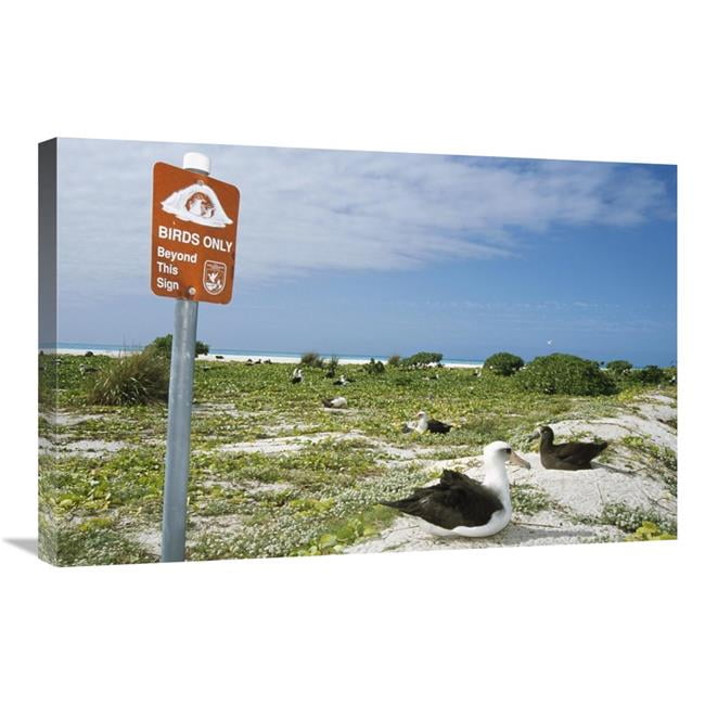 Global Gallery Sign Posted Birds Only Beyond This Point - Midway Atoll ...