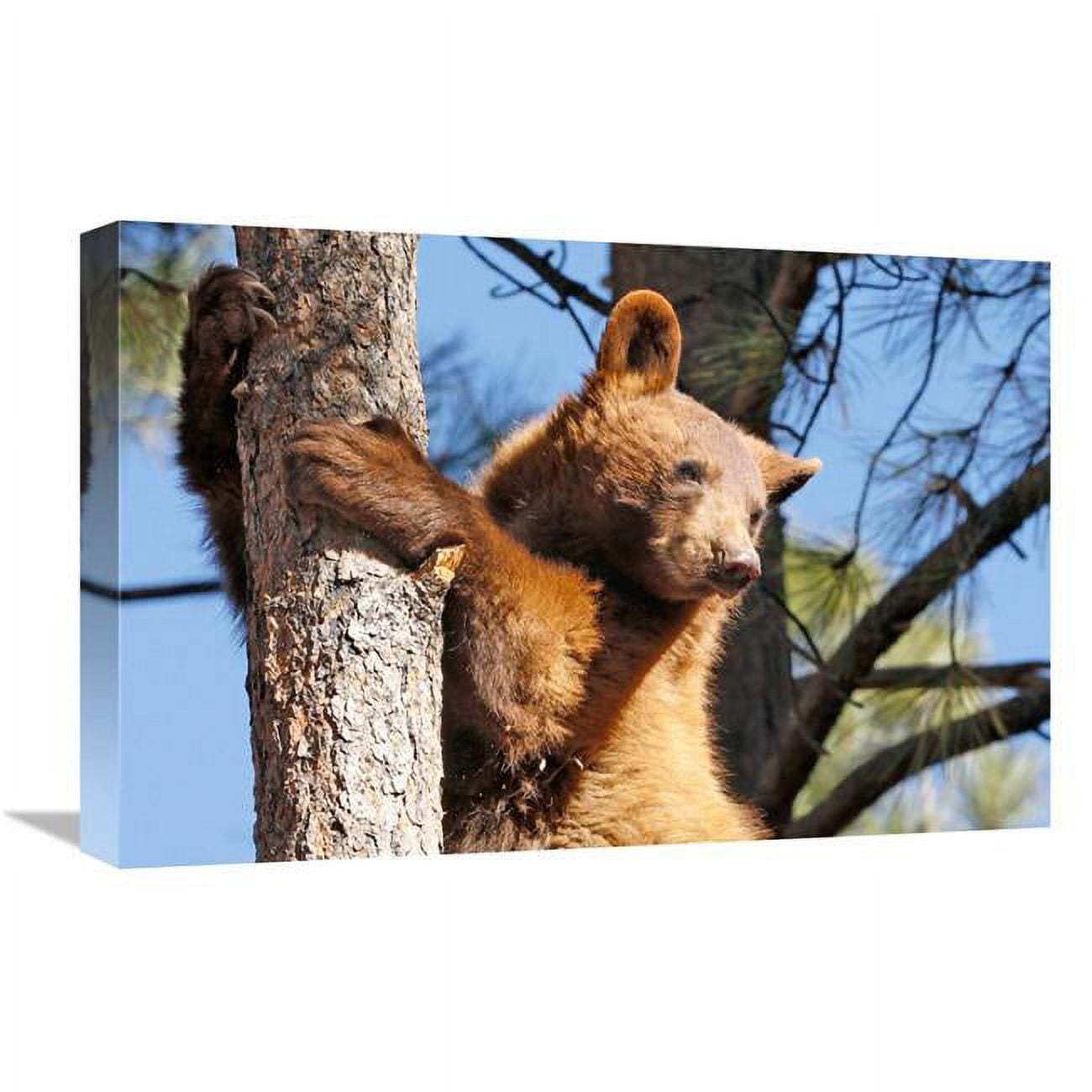 Global Gallery The Lookout Art Print - Walmart.com