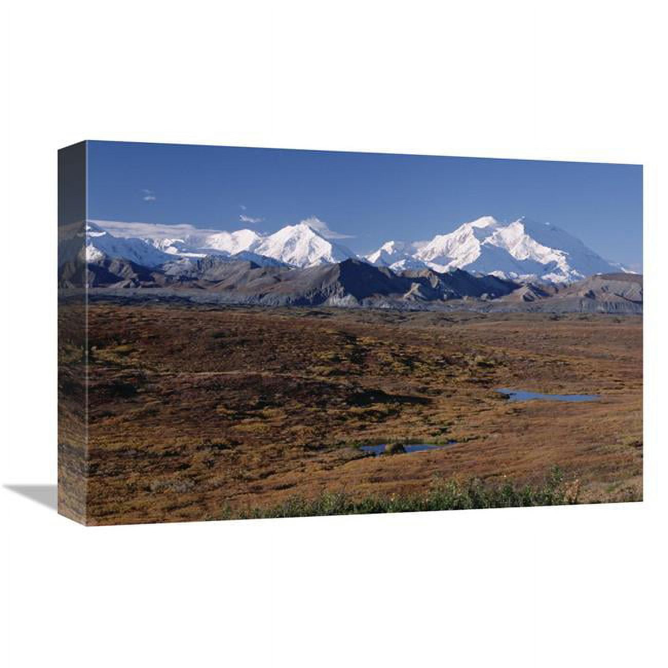 Global Gallery Tundra & Mt Denali - in Autumn Denali National Park ...