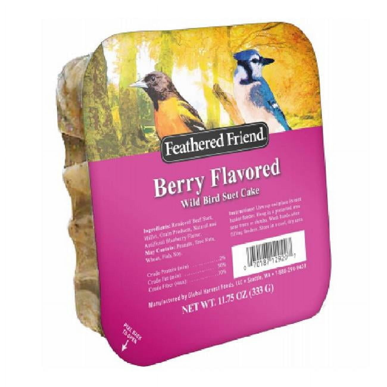 Global Harvest Foods 109804 Berry Flavor Wild Birds Suet Cake - Walmart.com