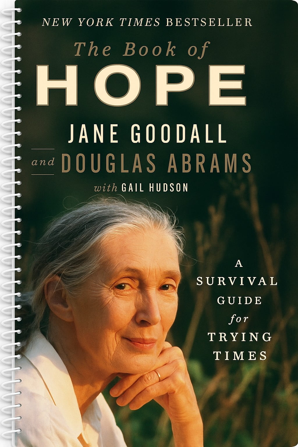 Global Icons The Book of Hope, (Spiral Bound) - Walmart.com