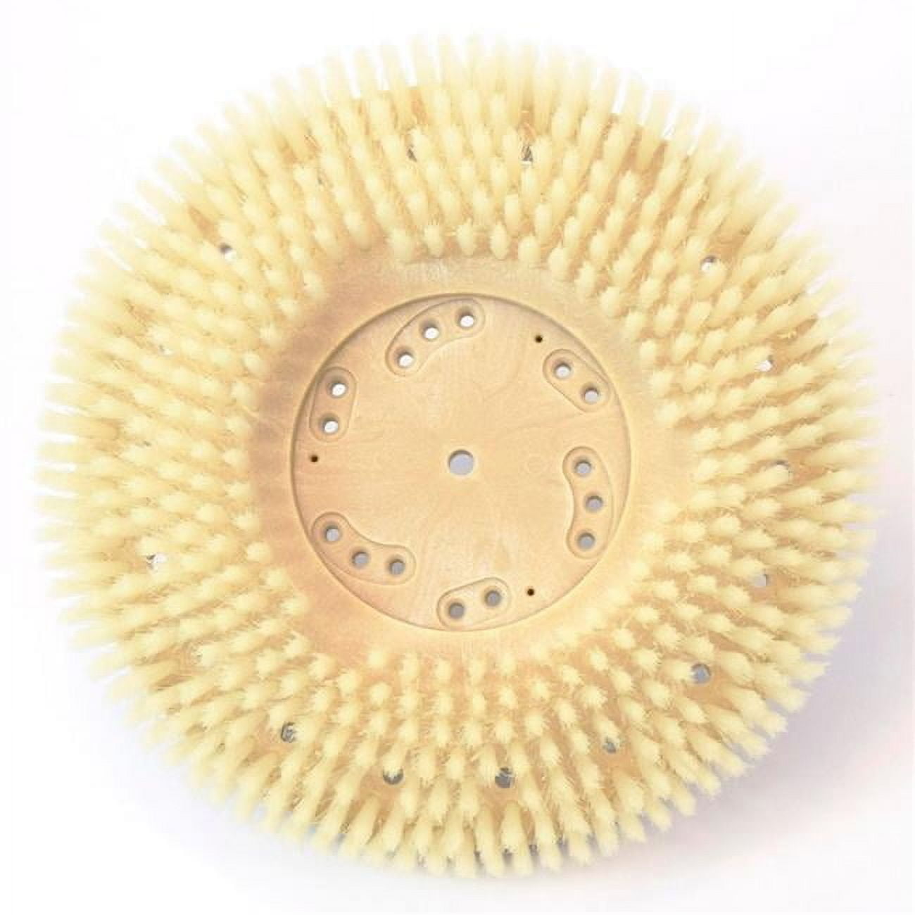 Global Industrial 641904WH 20 in. Nylon Scrub Brush for LVT - Soft ...