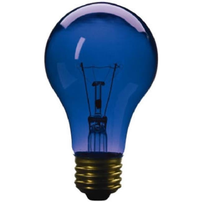 Globe Electric 70802 19 Watts Transparent Blue Party Light Bulb- Pack ...