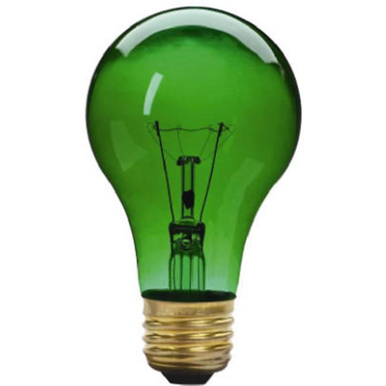 Globe Electric 70803 25 Watts Transparent Green Party Light Bulb- Pack ...