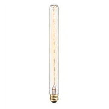 Globe Electric Oversized Vintage Edison Tube 60W Clear Glass Dimmable ...