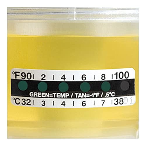 19 Celsius Fahrenheit