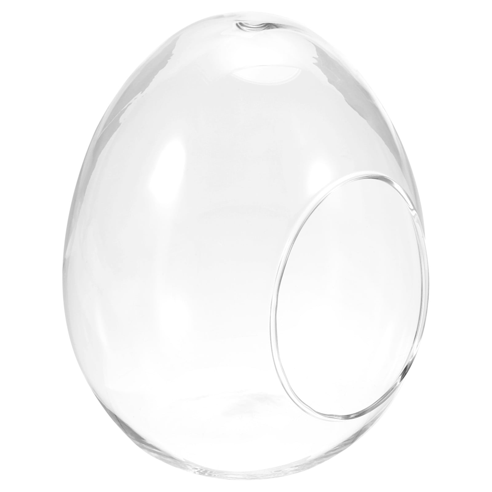 Globe Terrarium Air Plant Planter, 6 Inch Egg Shaped High Borosilicate ...