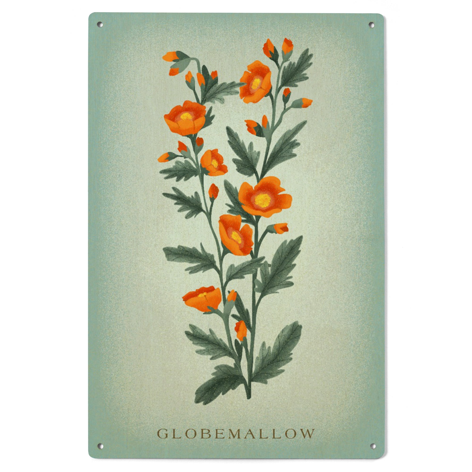 Globemallow, Vintage Flora Birch Wood Wall Sign (6x9 Rustic Home Decor ...